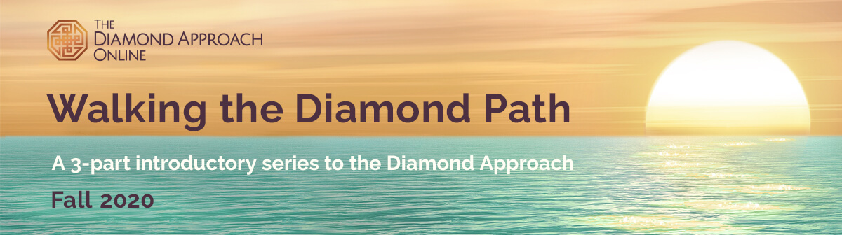 Catalog – Diamond Approach Online