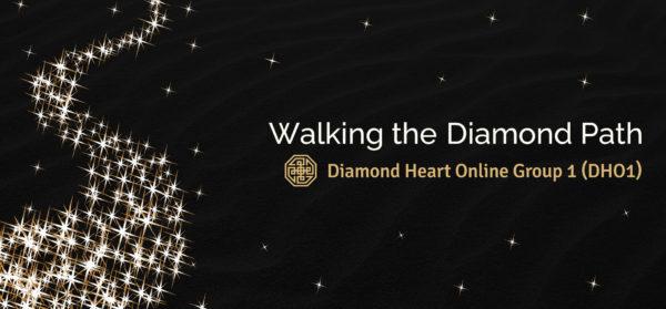 Diamond Approach Online