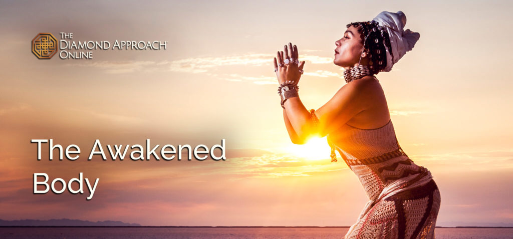 Catalog - Diamond Approach Online