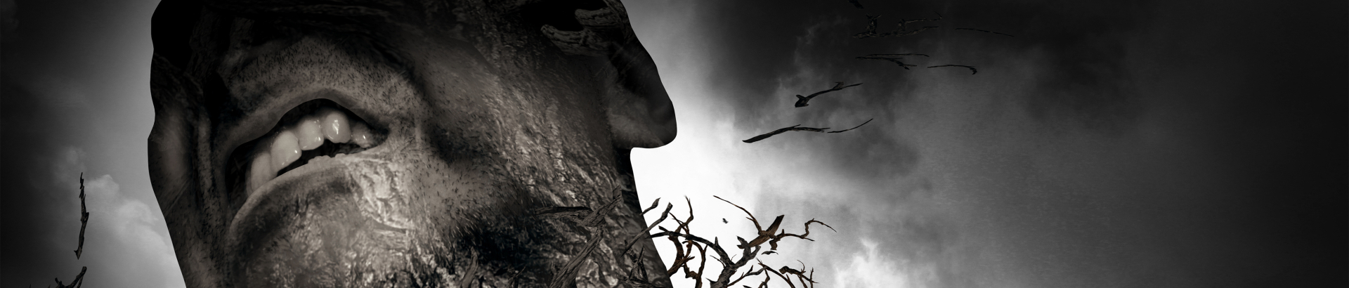 Trauma and the Soul - Diamond Approach Online