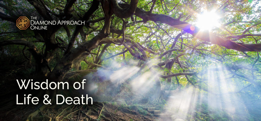 Diamond Approach Online