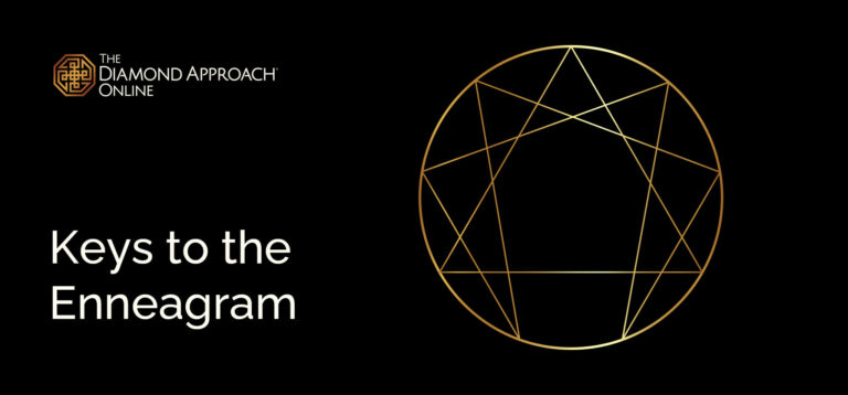 Catalog - Diamond Approach Online