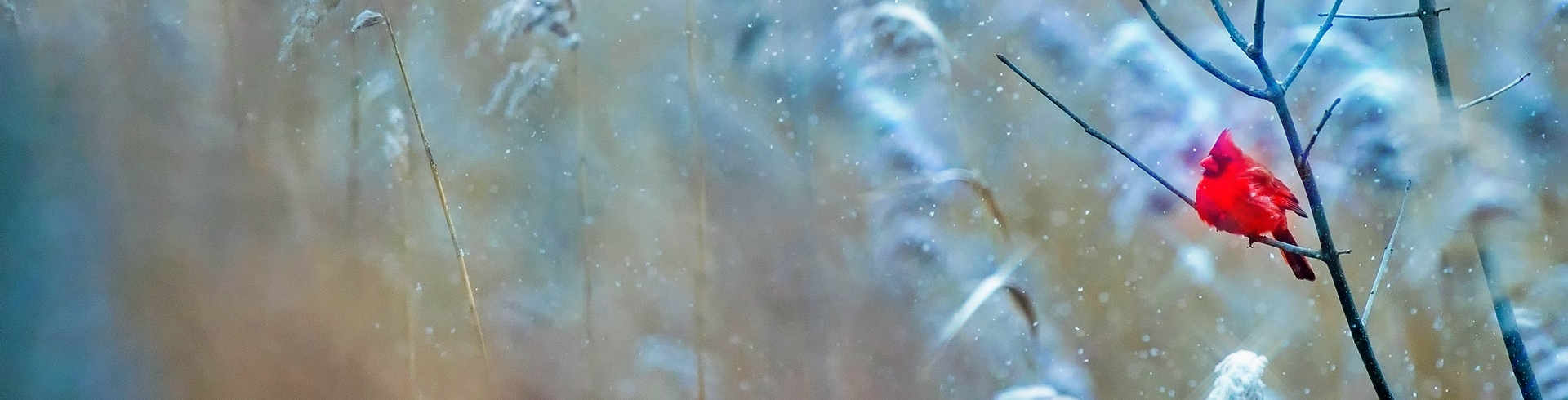 Living the Fruit of the Work - Diamond Approach Online