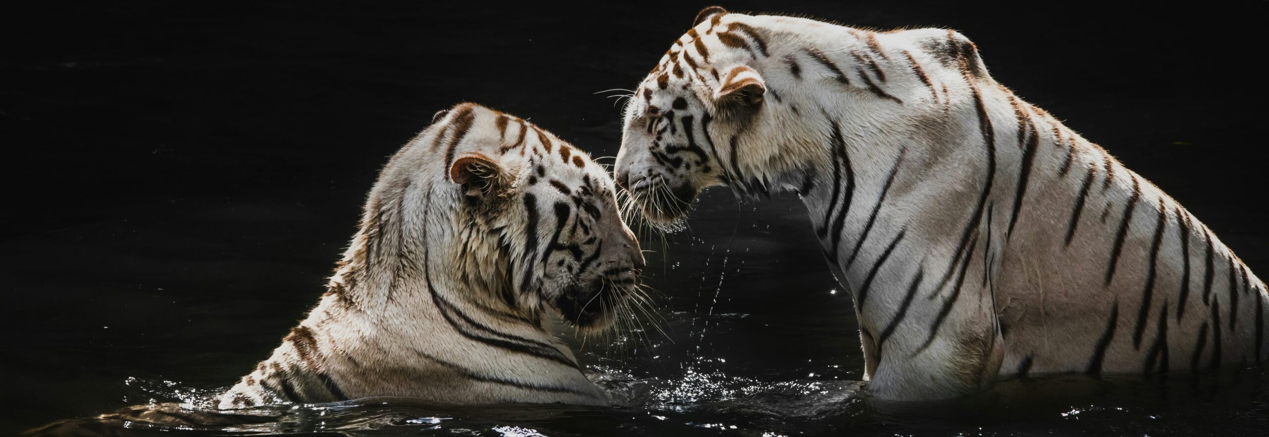 Human Instincts Part 1: Liberating the Social Instinct to Support ...