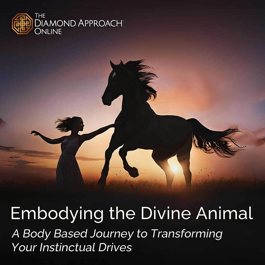 Embodying the Divine Animal - EDA-EV - Diamond Approach Online